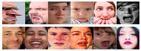 sensors free full text facial expression recognition methods in the wild based on fusion