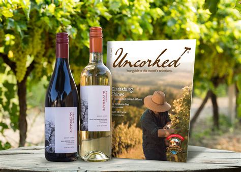 The Best Wine Subscription Boxes Readers Choice Msa
