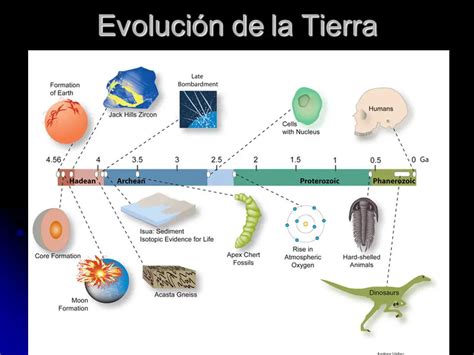 Evolución De La Tierra Lo Que No Sabes Sobre Los Cambios De Nuestro