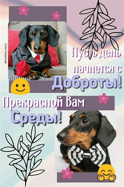 Открытка Прекрасной Среды