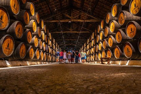 Das Melhores Caves Do Vinho Do Porto Para Visitar Em Gaia Vortexmag