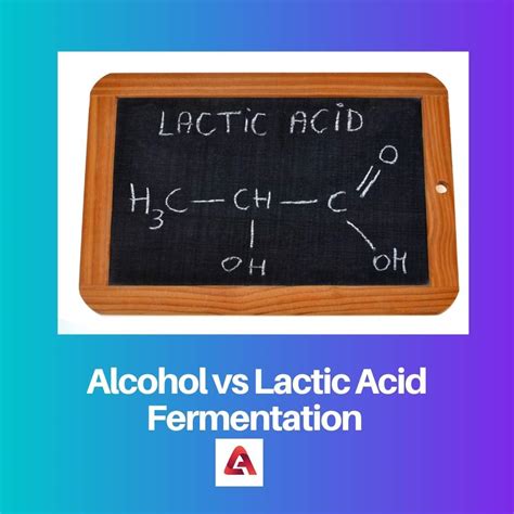 Alkohol Vs Fermentasi Asam Laktat Perbedaan Dan Perbandingan