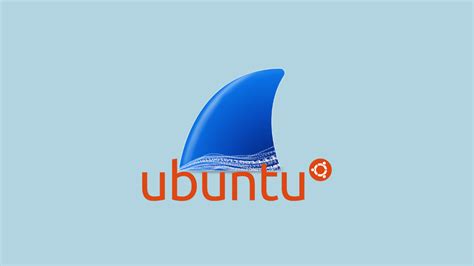 How To Install Wireshark On Ubuntu