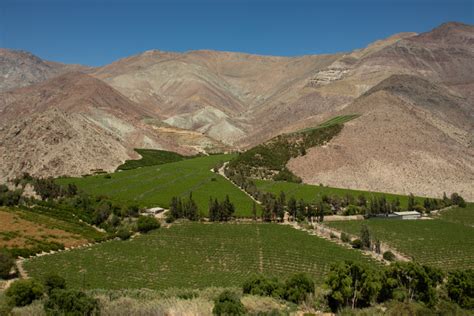 Conoce El Valle Del Elqui Y Sus Secretos AlfaTour