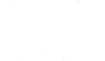 White Background Wallpaper Images Infoupdate Org