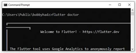 flutter is not recognized as an internal or external command bobbyhadz