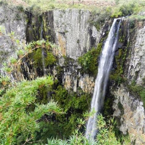 Salto duplo de paraquedas em Florianópolis Sambatur