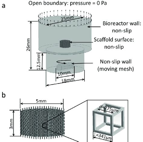 model parameters a boundary conditions of the computational fluid download scientific