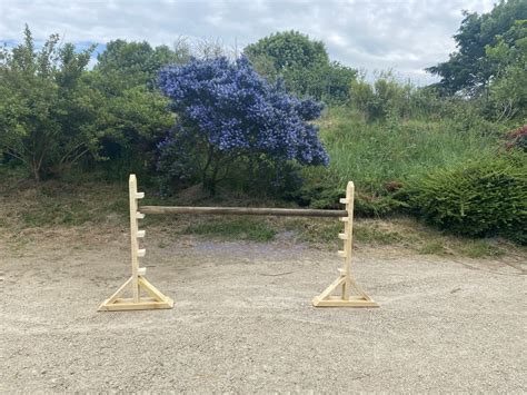 Chandeliers Pour Sauts Dobstacles Par Tamm Coat Sur L Air Du Bois