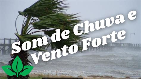 Som de CHUVA e VENTO nas ÁRVORES para Relaxar Profundamente DURMA
