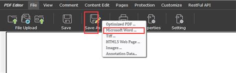 c how to display export convert pdf file to word docx without acrobat in mvc using asp