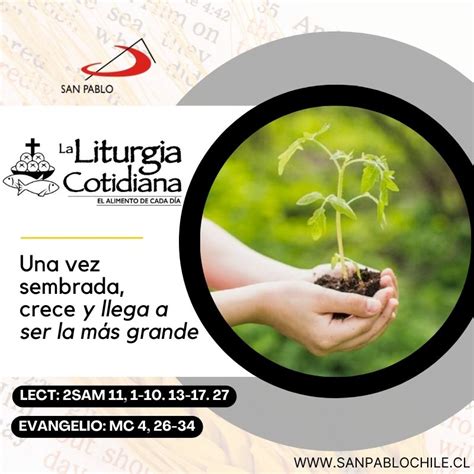 LITURGIA COTIDIANA 26 DE ENERO Santos Timoteo Y Tito Os MO Blanco