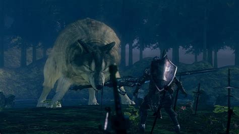 Great Grey Wolf Sif Dark Souls SIF HD Wallpaper Pxfuel