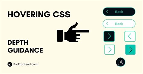 Css Hover Effects Guidance From Beginning To Expert