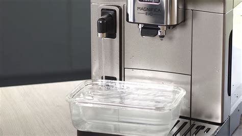 Descalcificar Tu Cafetera DeLonghi Dinamica En 5 Sencillos Pasos Pantori