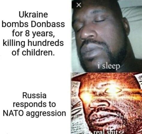 Gyopo Seraph 교포세라프 on Twitter Average Ukraine supporter brain rot