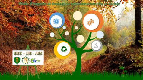Certification en étude d impacts et évaluation environnementale et