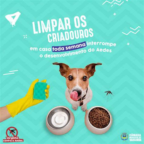VARGINHA NET Jornal InformaSION LIMPE SEMANALMENTE A SUA VOLTA O