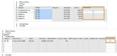 Sap Business One Project Management