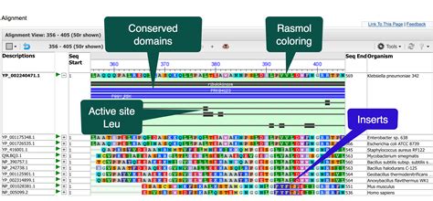 visualize and interpret alignment data with the multiple sequence alignment viewer ncbi insights
