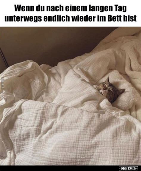 1700 Lustige Bilder Lange Seite 120 DEBESTE De