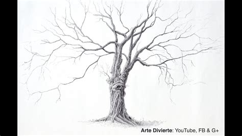 58 ART PENCIL LINE DRAWING Draw