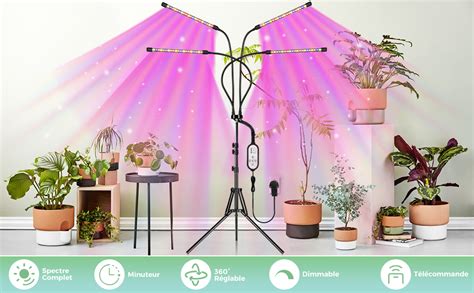 Lampe De Plante Sur Tr Pied Tasmor W Lampe Led Horticole Spectre