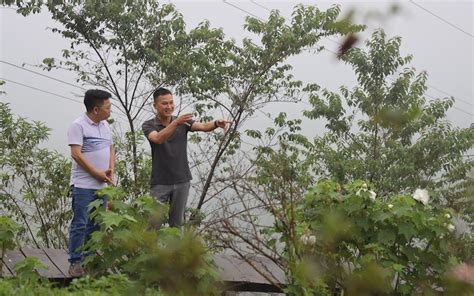 Anh Nông dân thu tiền tỷ từ làm nông nghiệp sạch kết hợp du lịch dưới