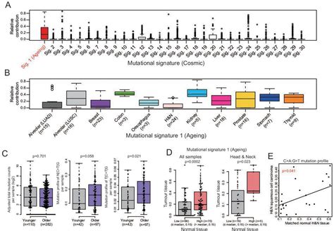 Comprehensive Characteristics Of Somatic Mutations In The Normal