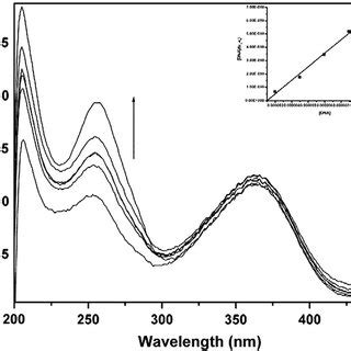 Absorption Spectrum Of The Copper II Complex In The Presence Of