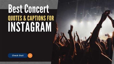 120 Concert Instagram Captions Quotes NetOffer