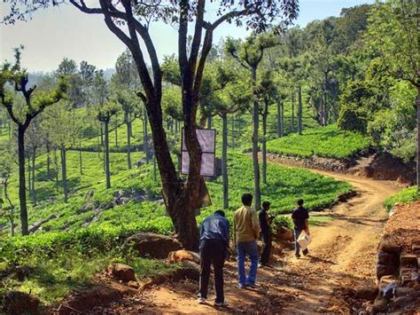 Top 12 Hill Stations To Visit In Tamil Nadu Artofit