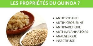 FLOCON D AVOINE BIENFAITS PROPRIÉTÉS et VALEUR NUTRITIONNELLE