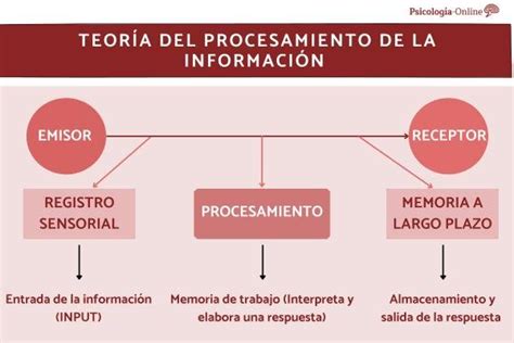 Teoría Del Procesamiento De La Información Qué Es Características Y