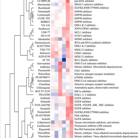 Unsupervised Hierarchical Clustering Of Drug Sensitivity Patterns In