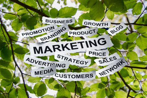 Qu Es El Marketing Verde Marketing All