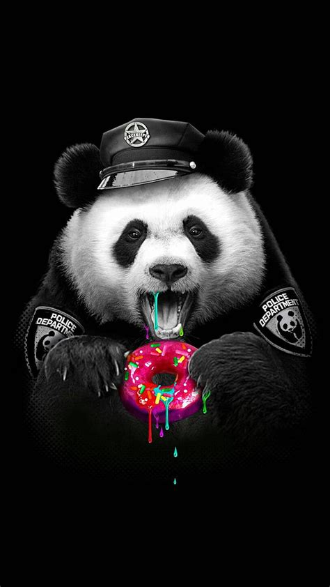 Panda Bear Frog Panda Fantasy Luminos Apofiss Bear Hat HD