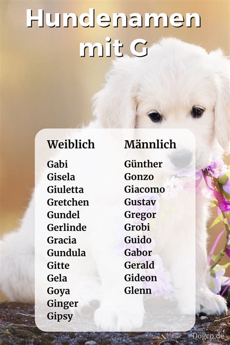 Hundenamen Mit G Artofit