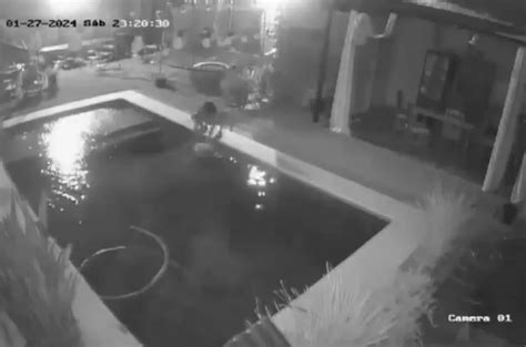 Entró a robar en una casa y para que no lo descubrieran ahogó al