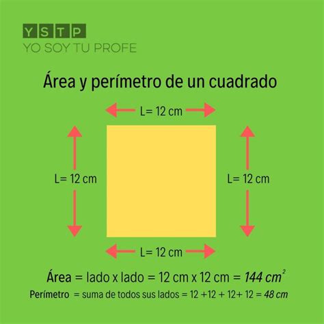 Sabes calcular el área y el perímetro de un cuadrado Yo Soy Tu Profe