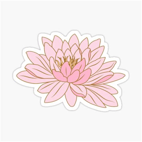 Pink Lotus Flower Sticker For Sale By Mimosadesigns Redbubble