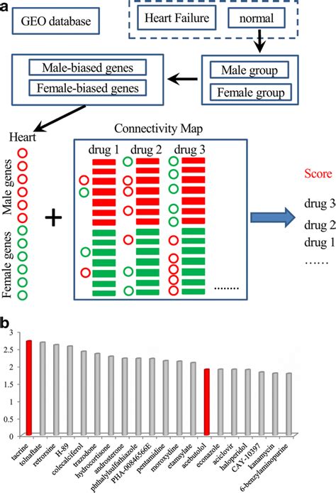 the framework for an in silico prediction model of sex biased drug download scientific diagram