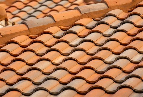 5 Essential Roof Maintenance Tips NFR