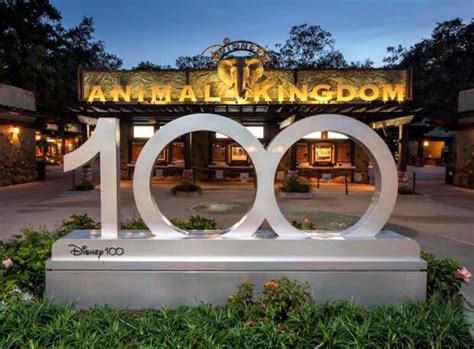 Celebrate Disney100 At Walt Disney World Resort