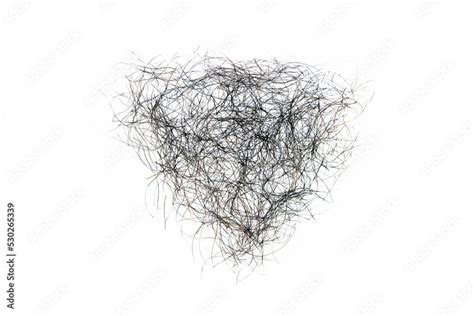Pubic Hair Fall Isolated On White Background Stock Photo Adobe Stock