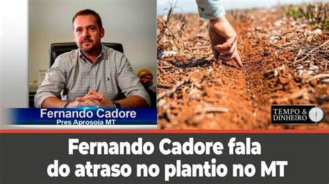 Safra 23 24 No MT Fernando Cadore Fala Do Atraso No Plantio E De Quem