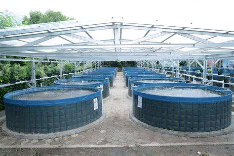 Bioflok Sistem Budidaya Higienis Dan Efektif CV Pradipta Paramita