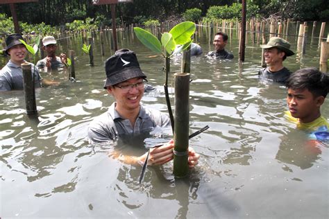 Ini Aksi Kolaborasi Selamatkan Mangrove Tanakeke TrendRadars Indonesia