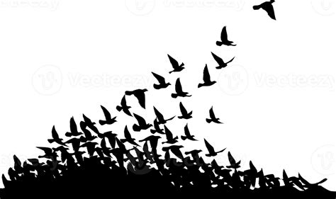 fliegende Vögel Silhouetten Mustertapete png transparent isolierter