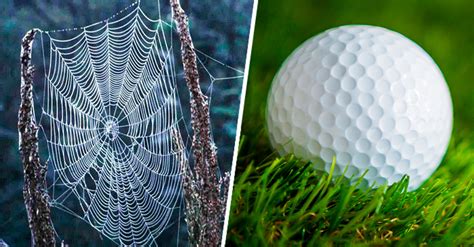 20 CURIOSIDADES de nuestro Mundo que seguramente NO SABÍAS